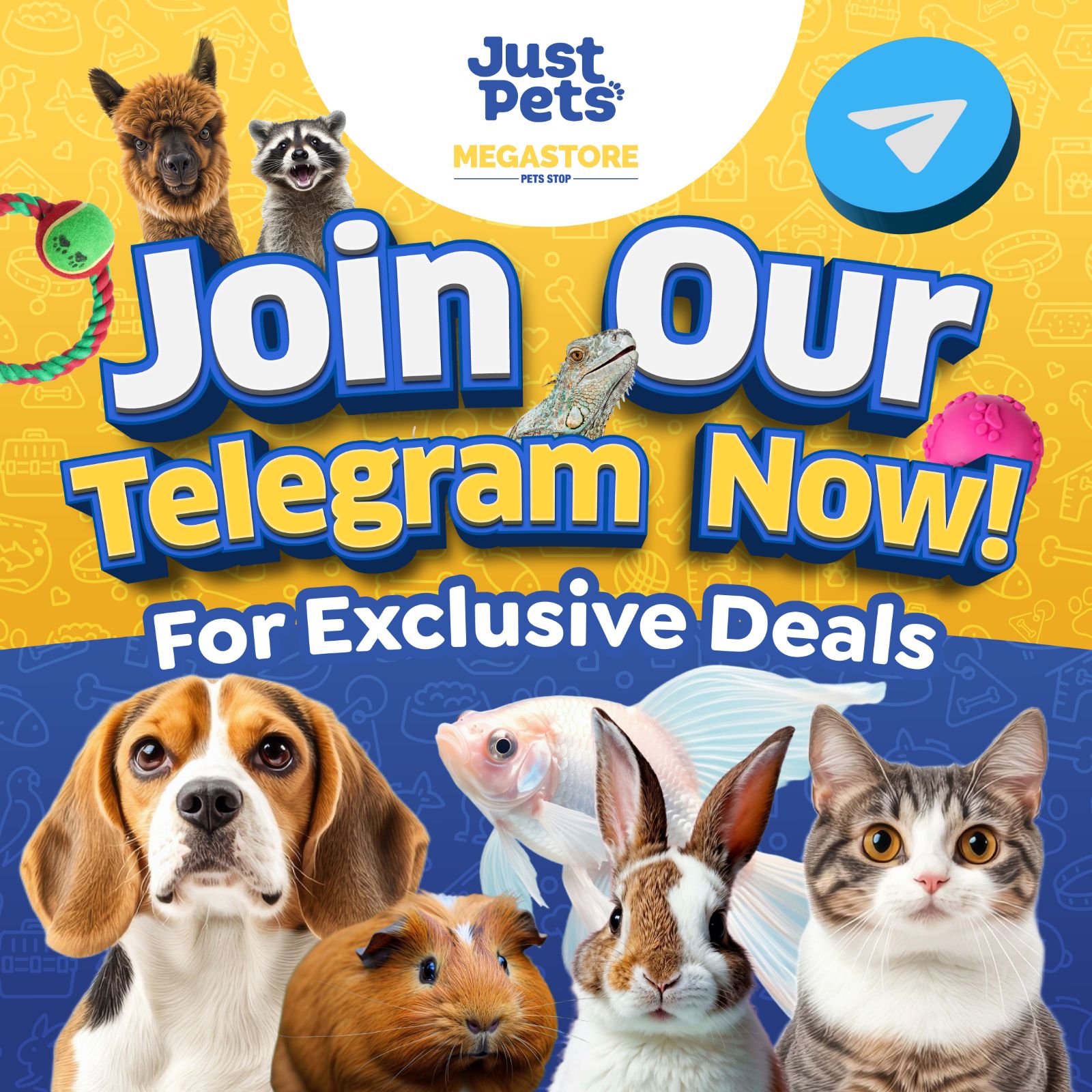 Pets for Sale – Buy Puppies, Kittens & Reptiles | Pet Hotel & Grooming ...