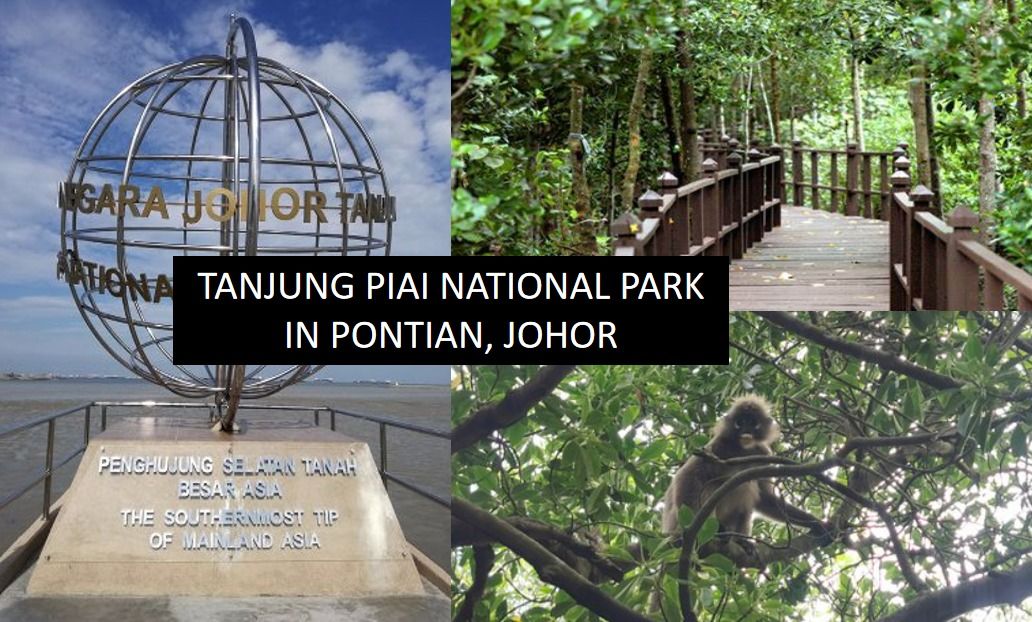 TANJUNG PIAI NATIONAL PARK IN PONTIAN, JOHOR