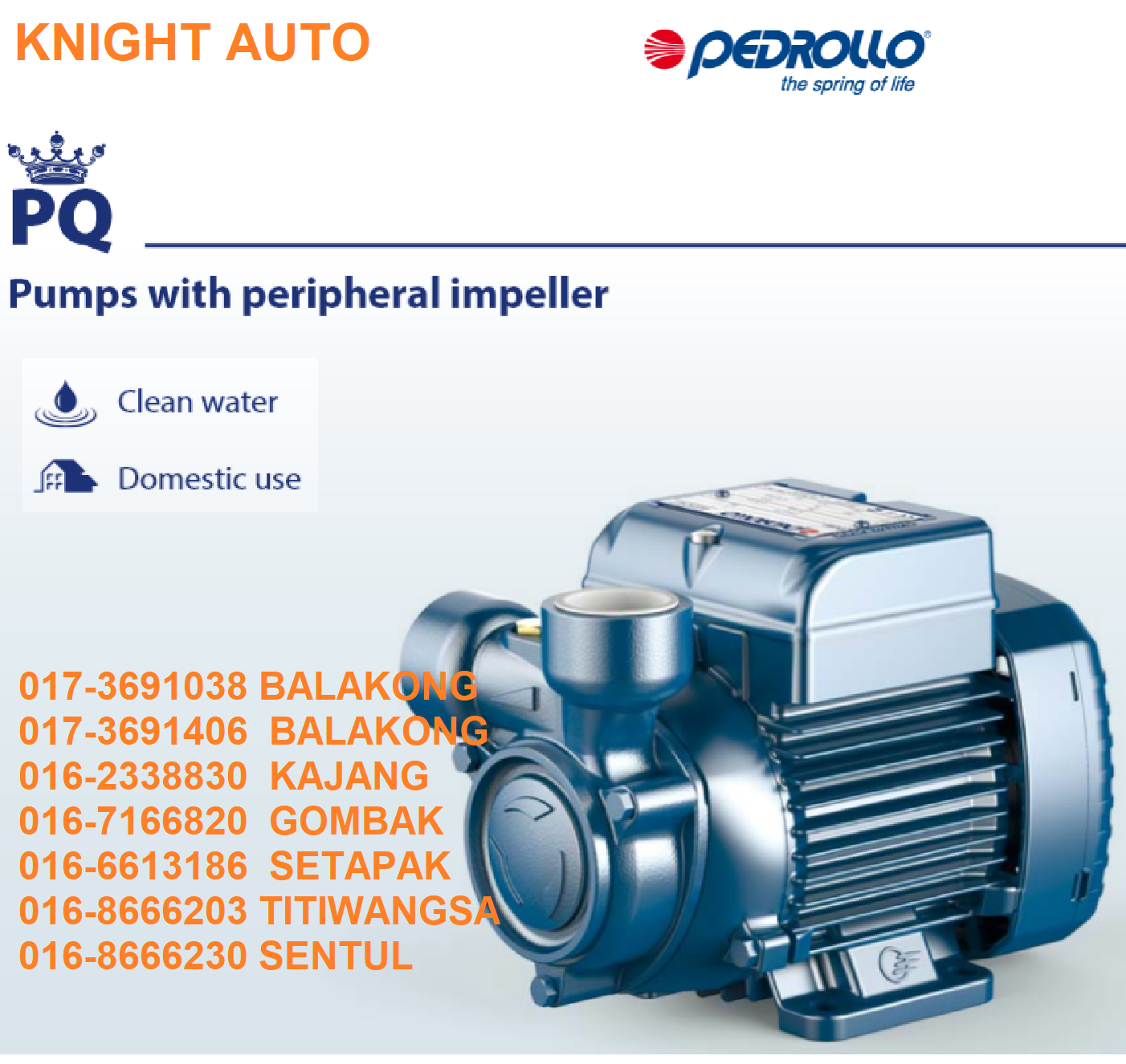 Pedrollo Peripheral Pump with Peripheral Impeller PQ PQm60 Single phase ...