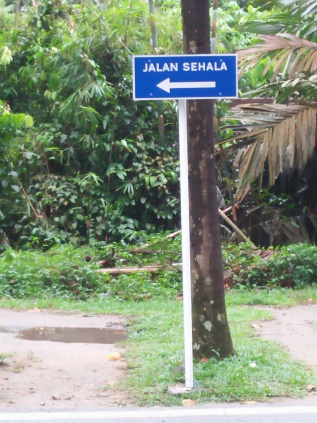 Jkr Jalan Sehala Berhenti Road Signage Penang, Malaysia Light Box, LED ...