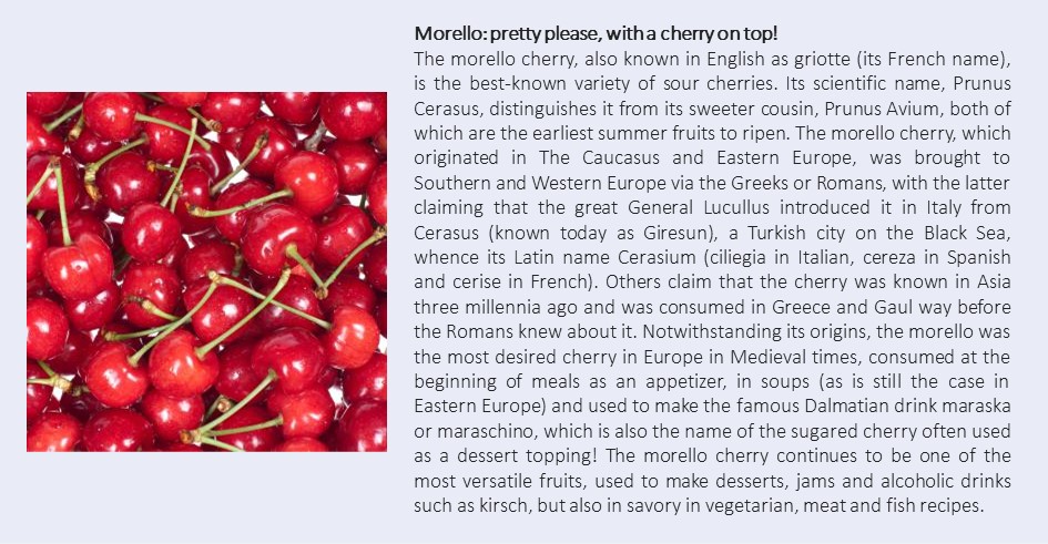 BOIRON, Frozen Fruit Puree - Morello Cherry, 12% Invert Sugar , 1kg Red ...