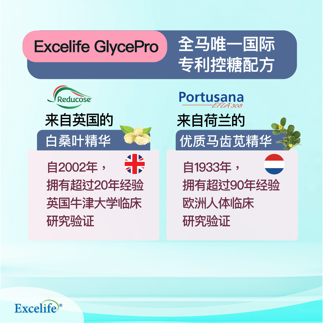 Excelife GlycePro Shah Alam Supplier, Wholesaler | E HEALTH SDN BHD