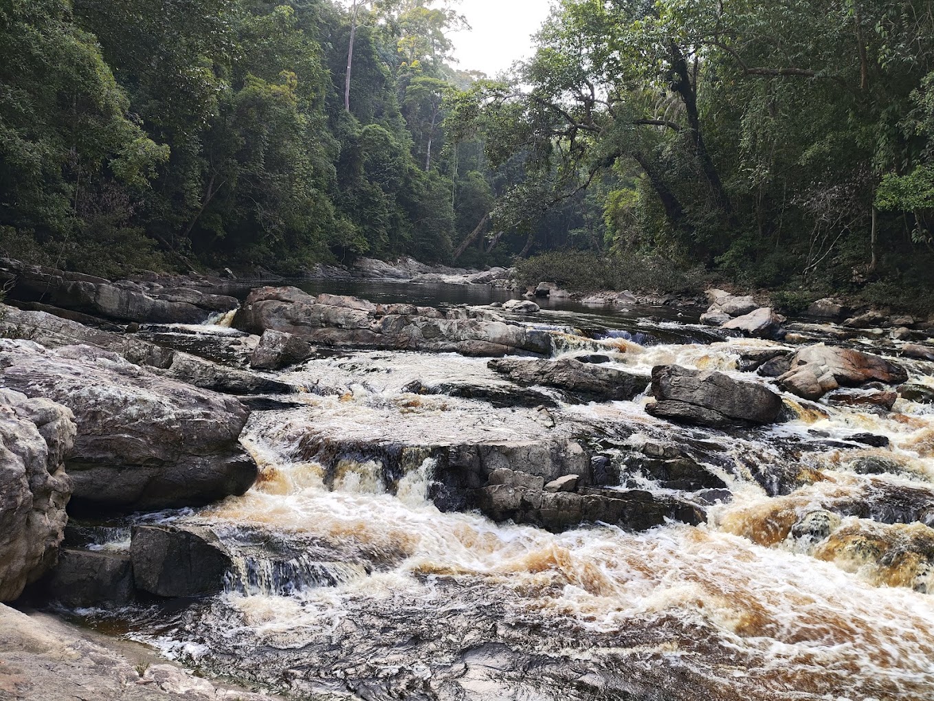 Discover Malaysia's Top 10 Breathtaking Nature Wonders